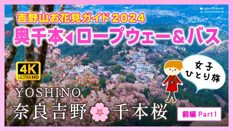 [Nara] How to Reach Yoshinoyama's “Senbonzakura” from Osaka 🌸 Take the ...